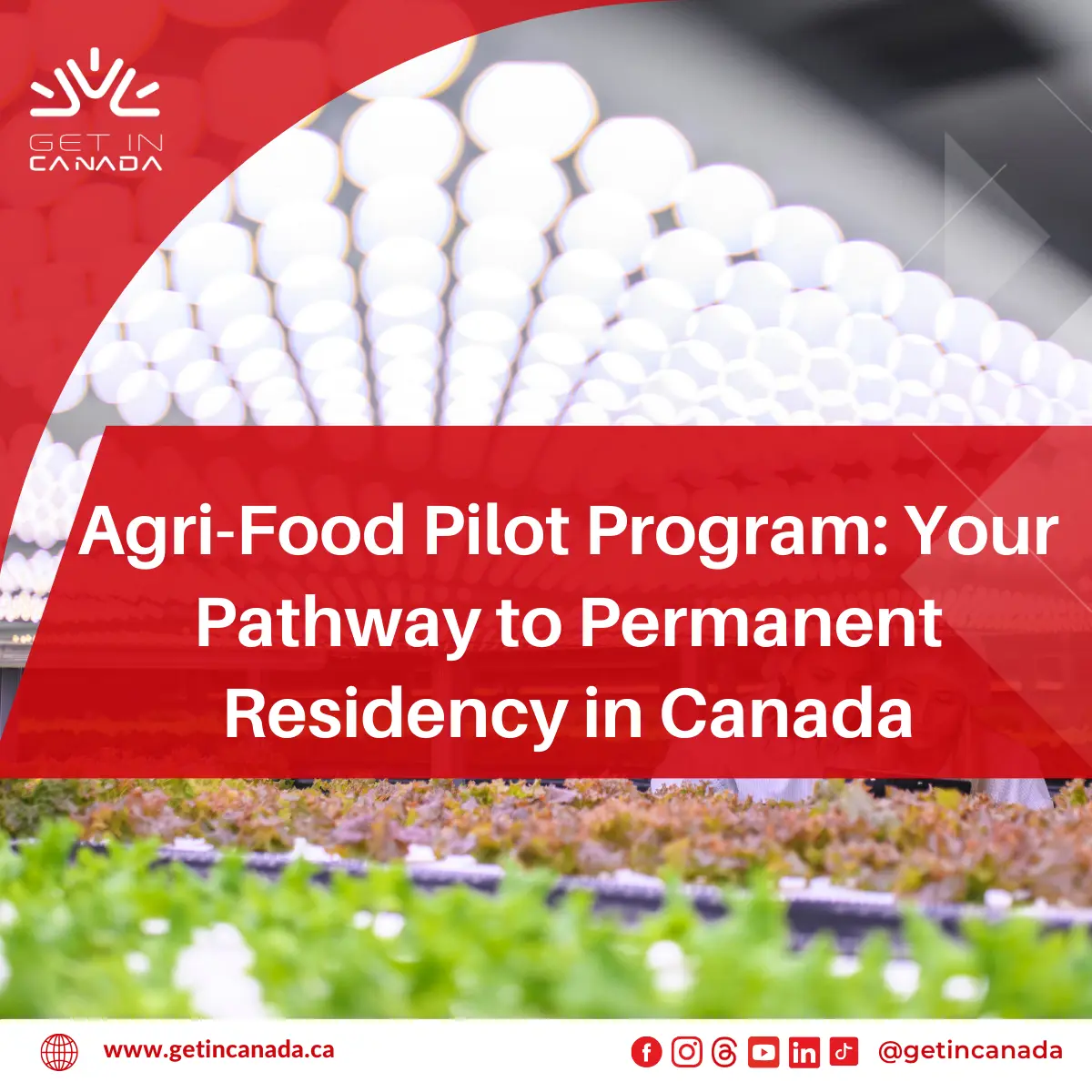 Agri-Food Pilot Program for Permanent Residency | Get In Canada